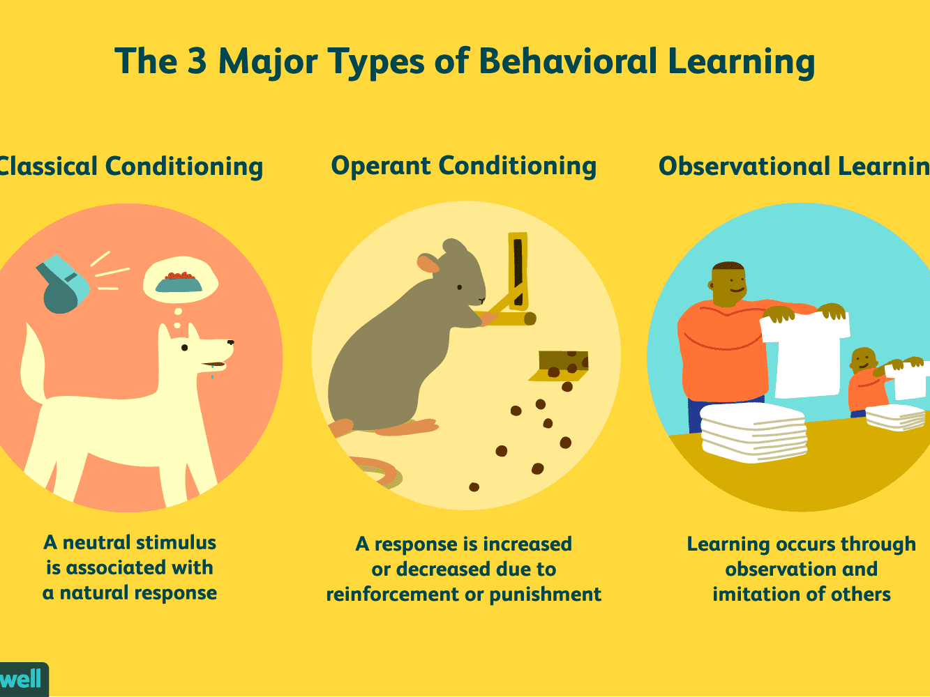 Leerprincipes: klassieke en operante conditionering » Van Stal